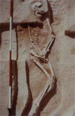 Lake Mungo 3